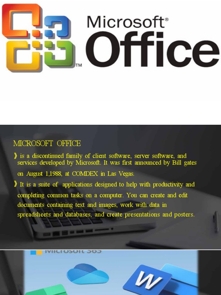 Microsoft Office Report | PDF