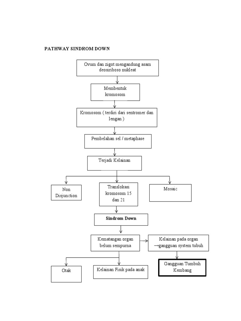 PATHWAY SINDROM DOWN | PDF