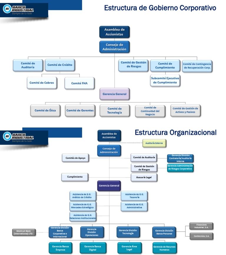 Estructura Organizacional BI PDF | PDF | Auditoría | Liderazgo