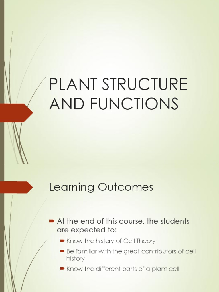 Week 4 - Plant Structure and Functions | PDF | Cell (Biology) | Cell Membrane