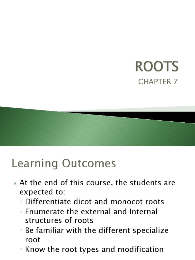 Week 7 - ROOTS PDF | PDF | Root | Eukaryotes