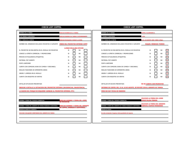 Check List Coppel-1 | PDF