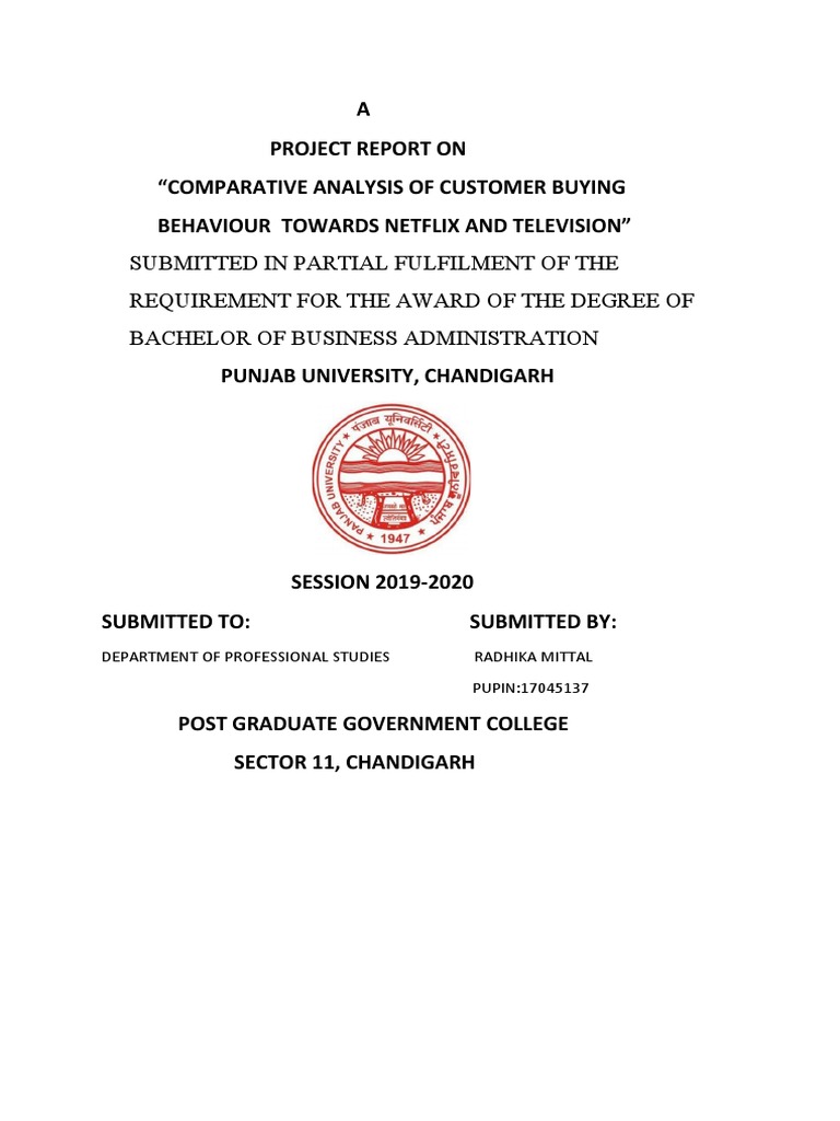 Netflix Project New | PDF | Television | Swot Analysis