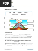 Skeletal System Grade 4 | PDF | Skeleton | Pelvis