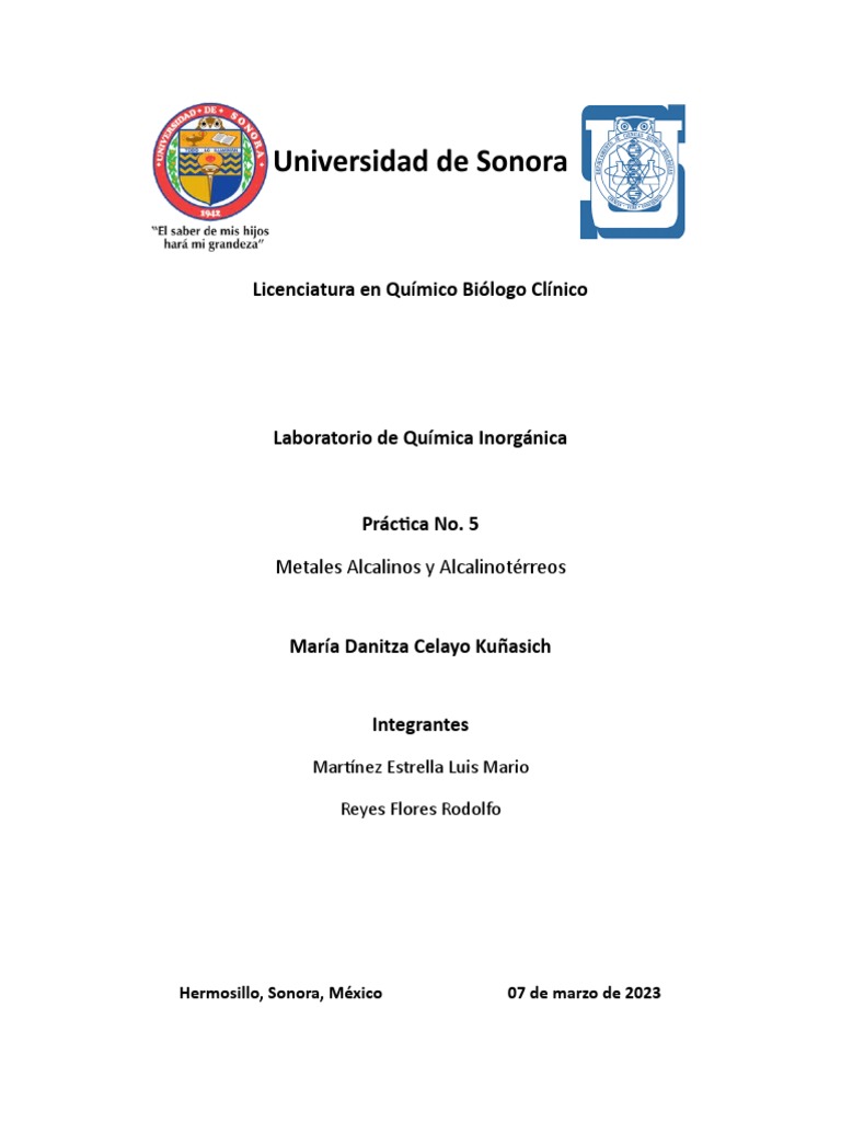 Practica 5 Inorg Unison | PDF | Redox | Ácido clorhídrico
