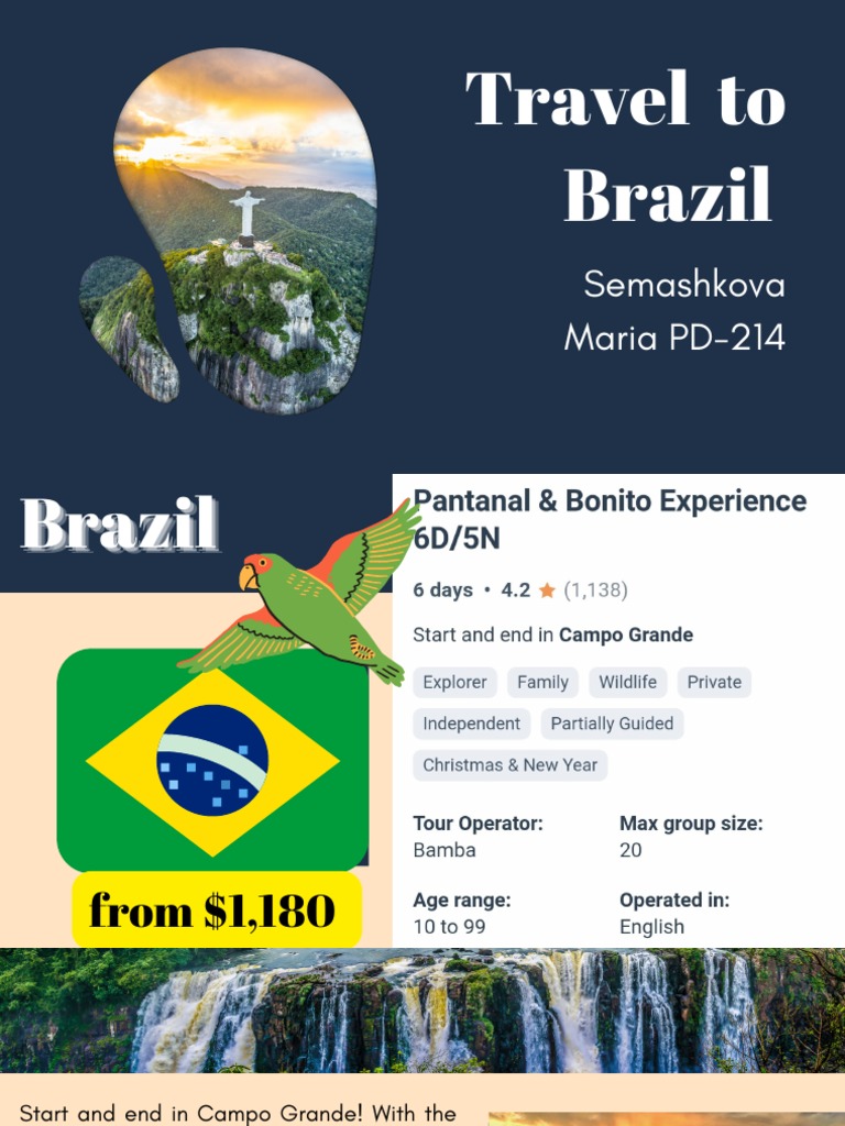 Travel To Brazil | PDF