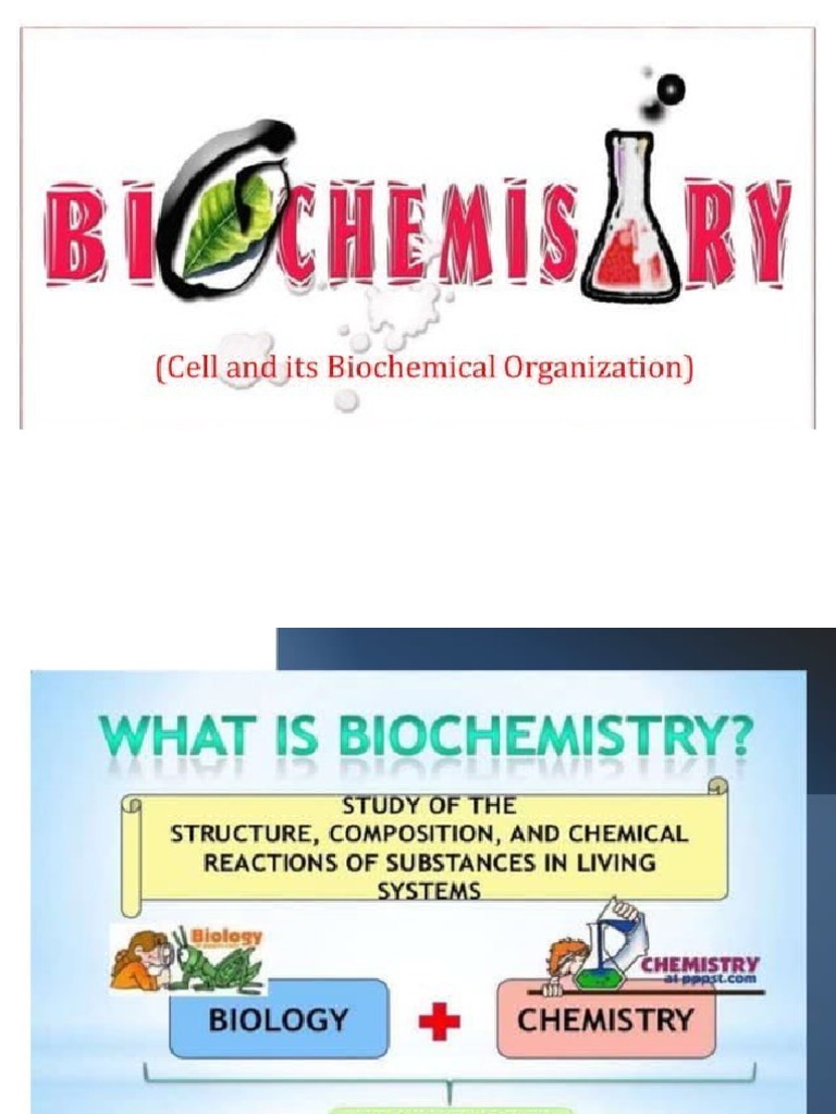 Module 1 - Biochemistry & The Organization of Cells | PDF