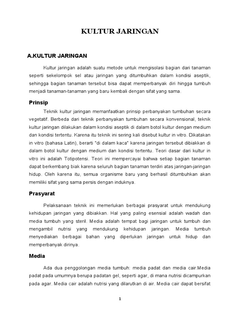 Kultur Jaringan | PDF