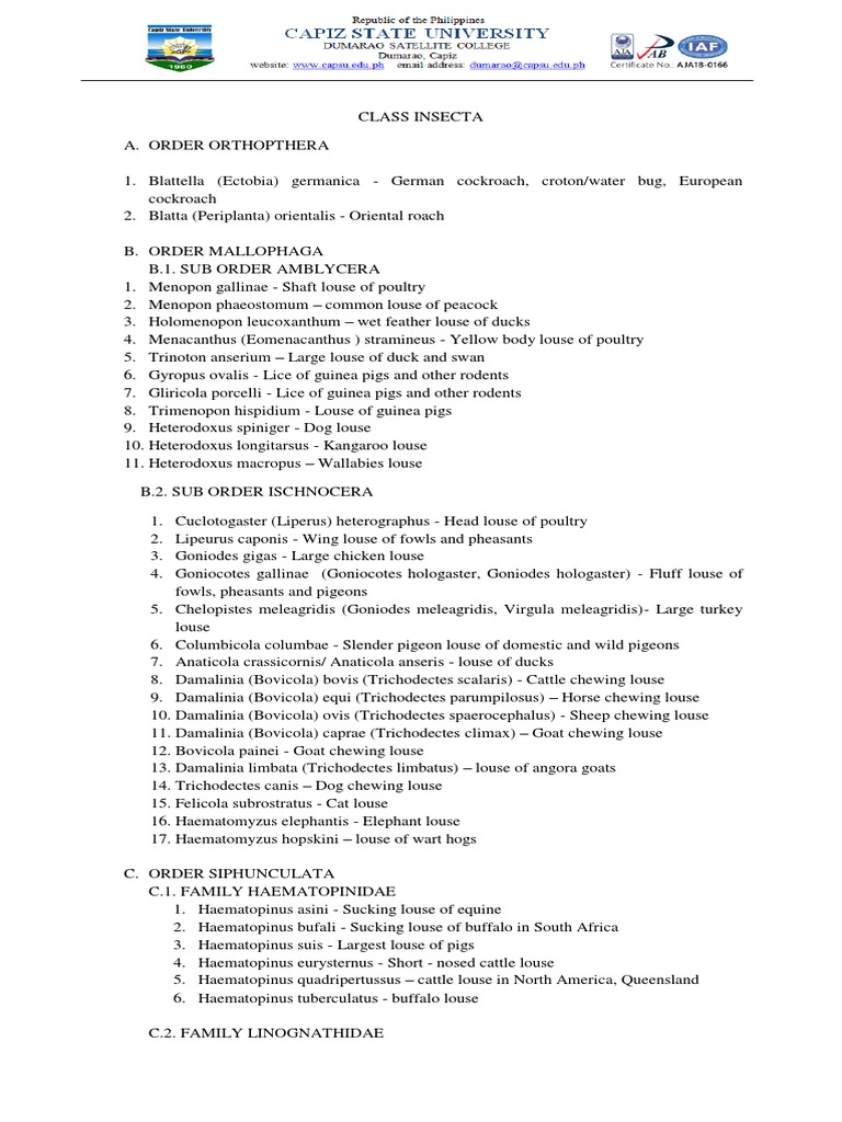 Class Insecta | PDF | Mosquito | Beetle