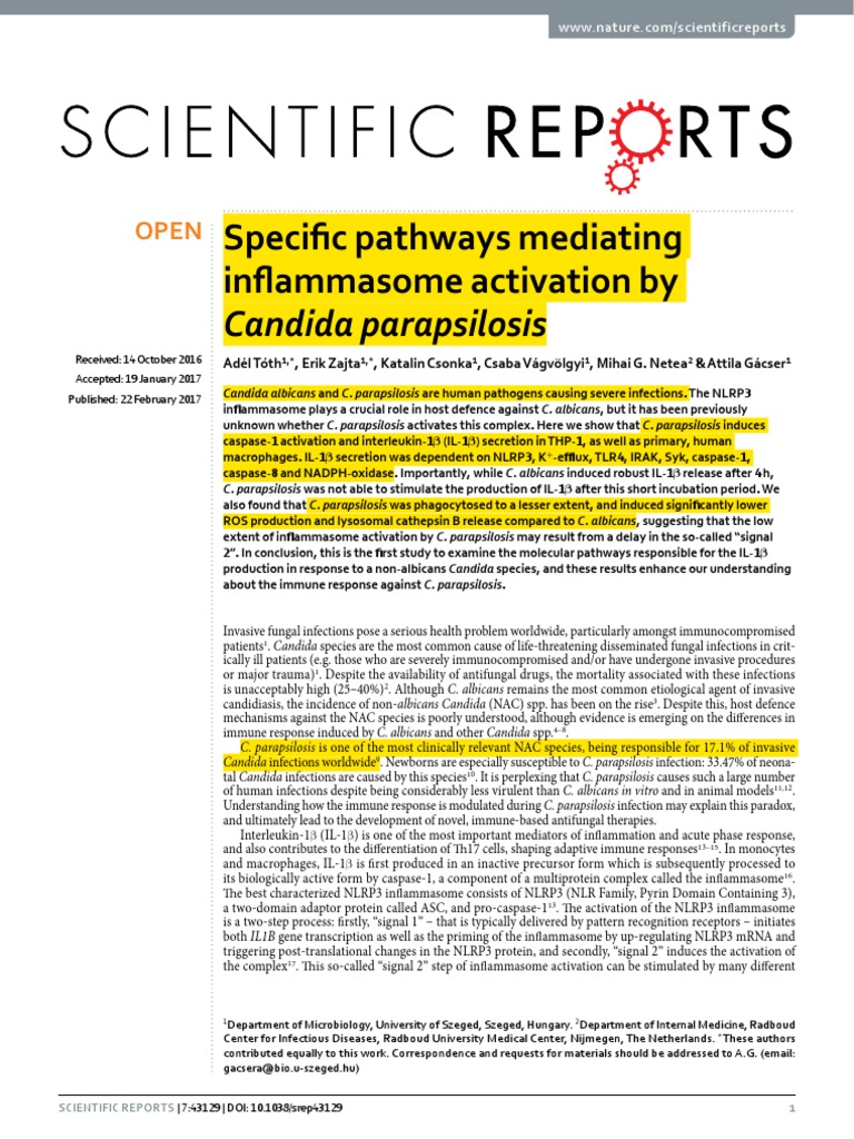 Tóth, A. Et Al. (2017) | PDF | Immune System | T Helper Cell