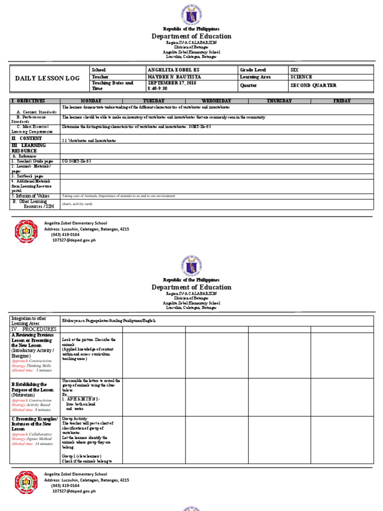 DLL Template | Download Free PDF | Constructivism (Philosophy Of ...