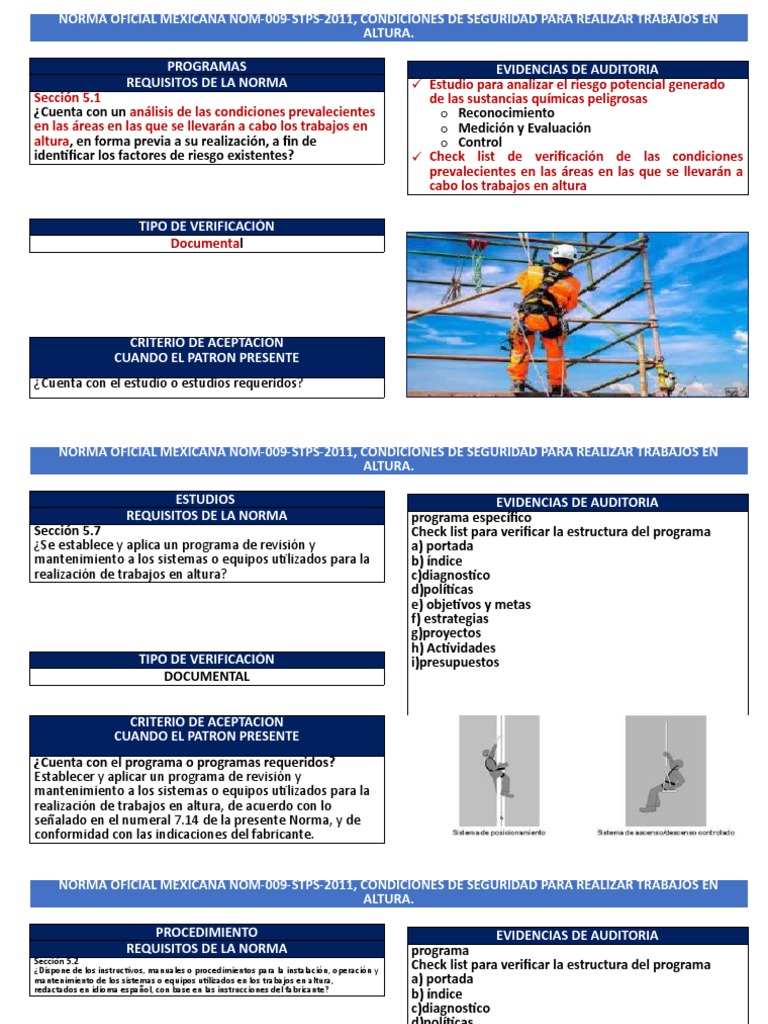 Tarea PWP 2.6. Nom 009 STPS Guia Auditoria | PDF | Andamio | Transmisión de energía eléctrica