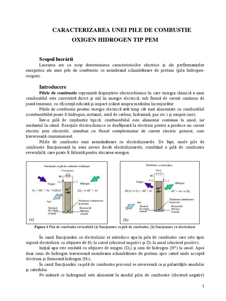 Lab 3 - Pila de Combustie | PDF