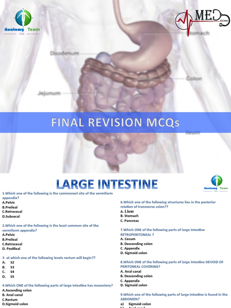 FINAL REVISION MCQs PDF | PDF | Human Anatomy | Abdomen
