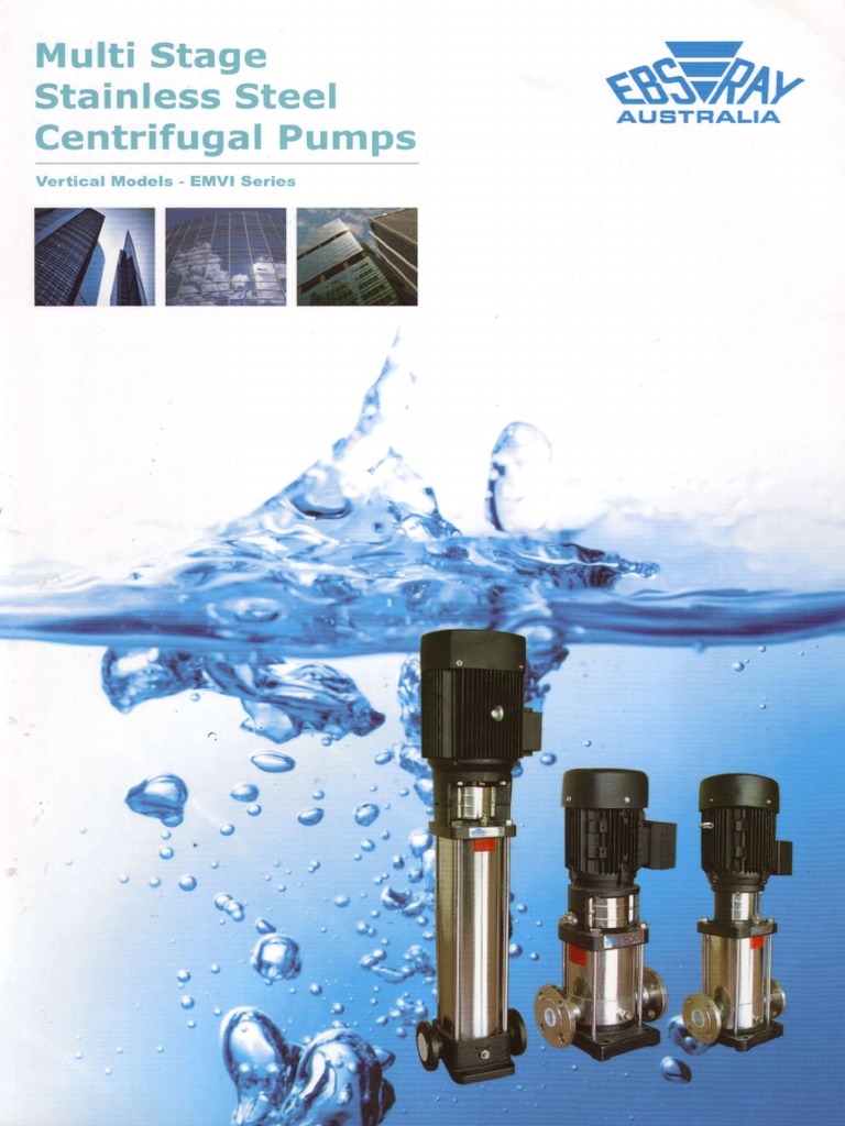 1.0 EBSRAY EMVI Catalog | PDF | Fluid Mechanics | Energy Technology