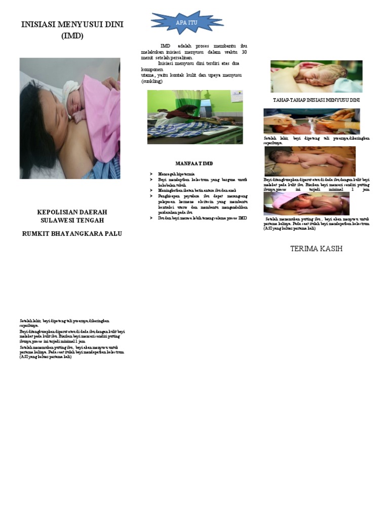 Leaflet Imd | PDF | Kesehatan Holistik