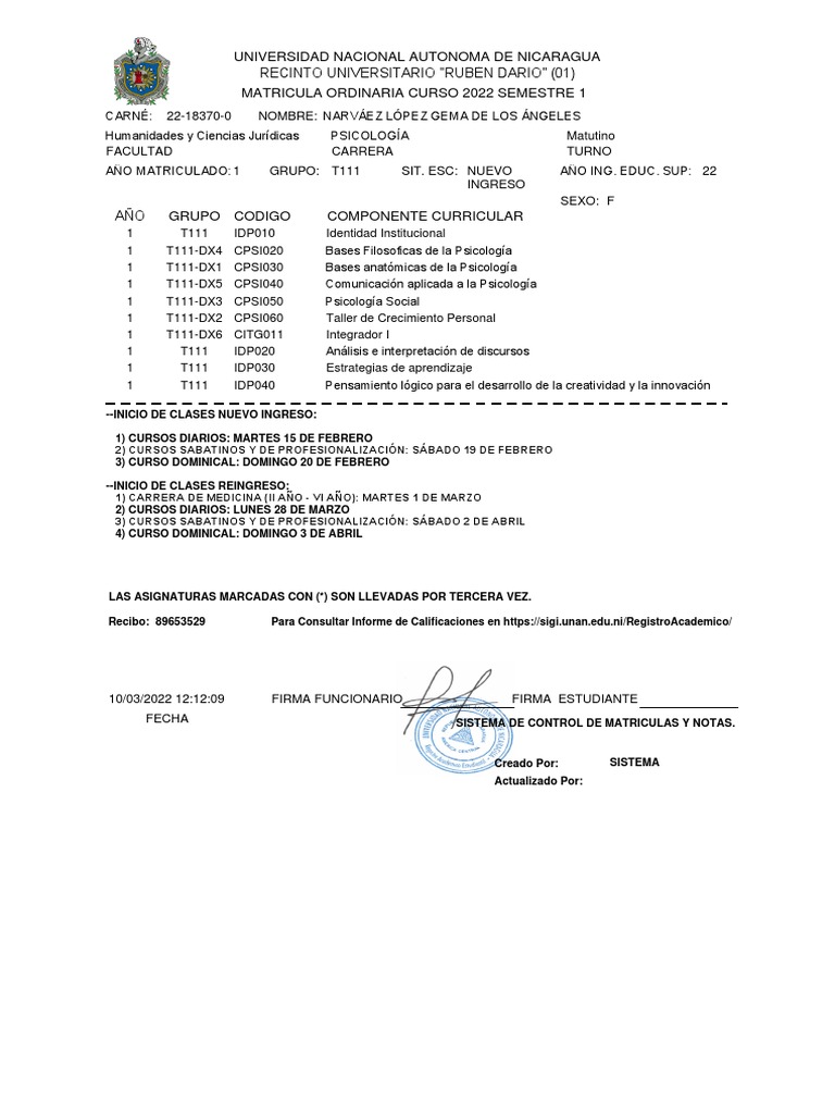 Reporte Matricula en Linea 2 | PDF