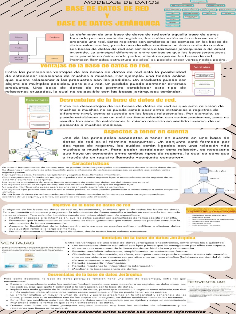 Base de Datos de Red y Base de Datos de Jerarquica | PDF