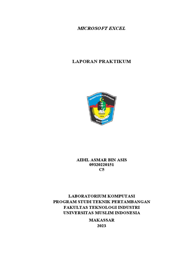 Laporan Excel Aidil Acc | PDF