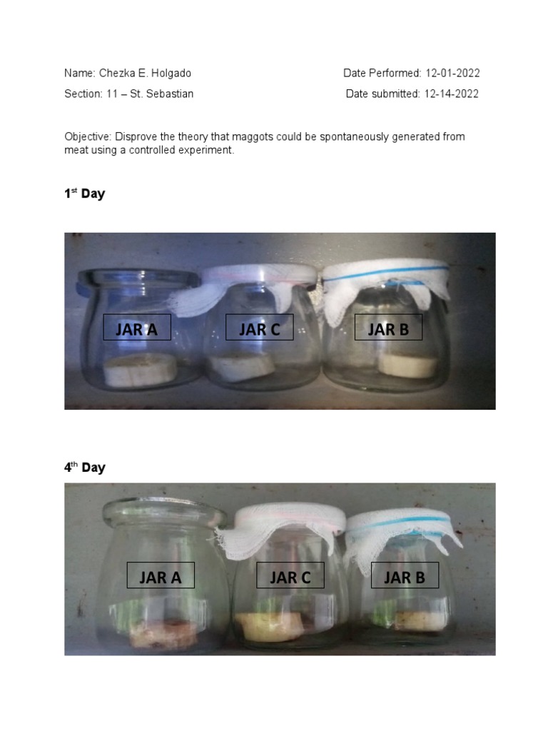 Disproving spontaneous maggot generation | PDF | Experiment | Fungus