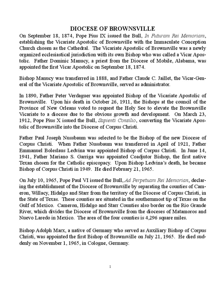 Diocese of Brownsville Overview | PDF | Religious Titles | Christian ...