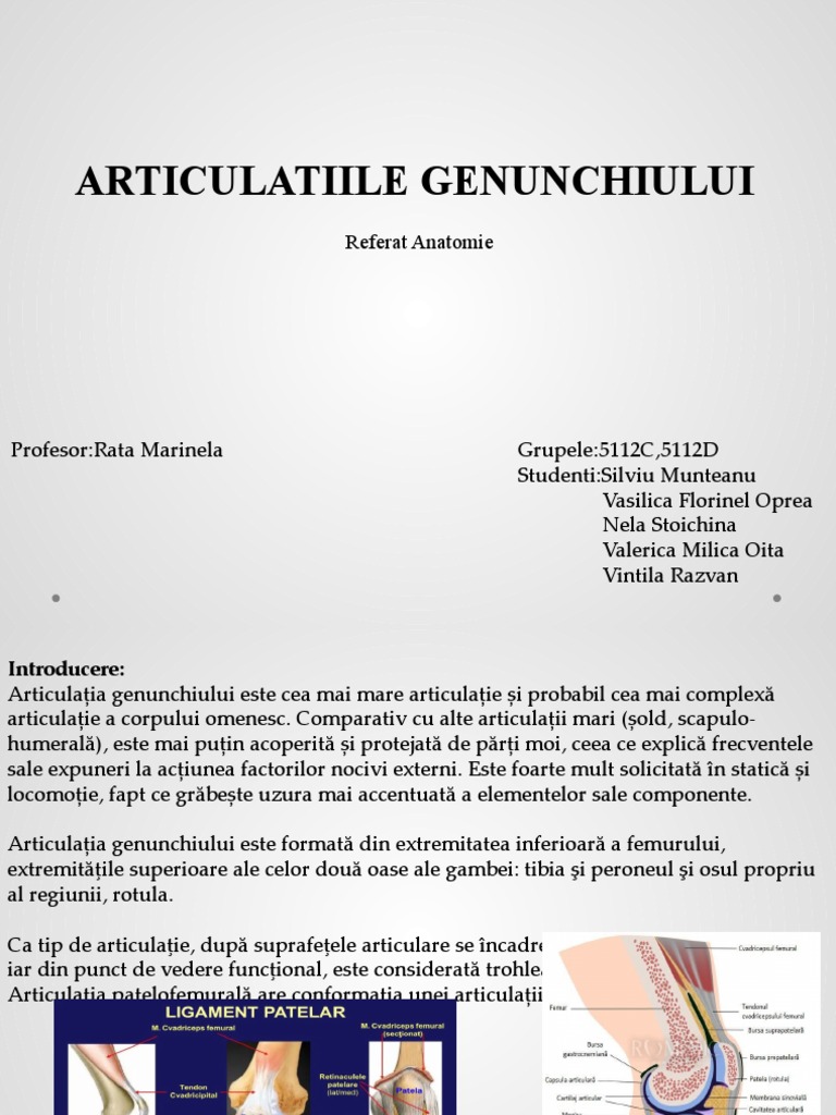 Referat Articulatiile Genunchiului | PDF