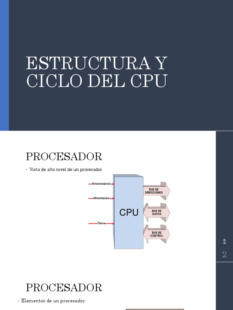 Estructura y Ciclo Del CPU PDF | PDF | Unidad Central de procesamiento | Ingeniería Electrónica