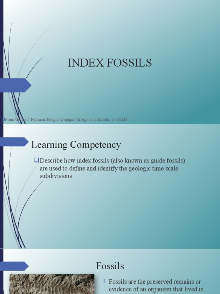 Index Fossils | Download Free PDF | Fossil | Geologic Time Scale