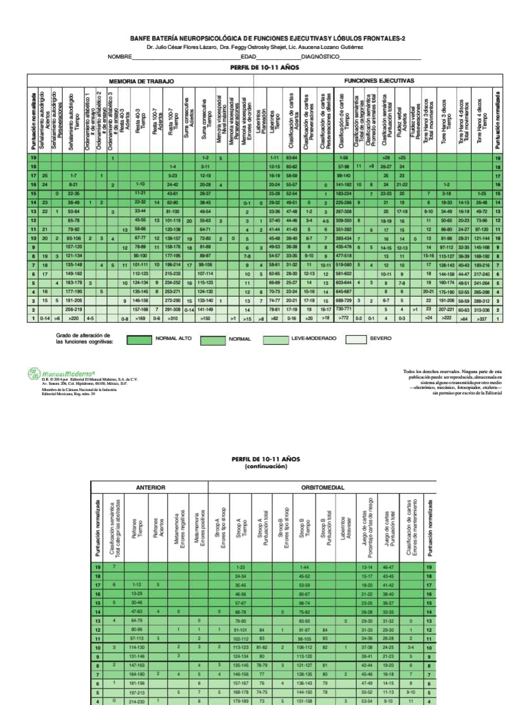 BANFE-2 Perfil 10-11 | PDF