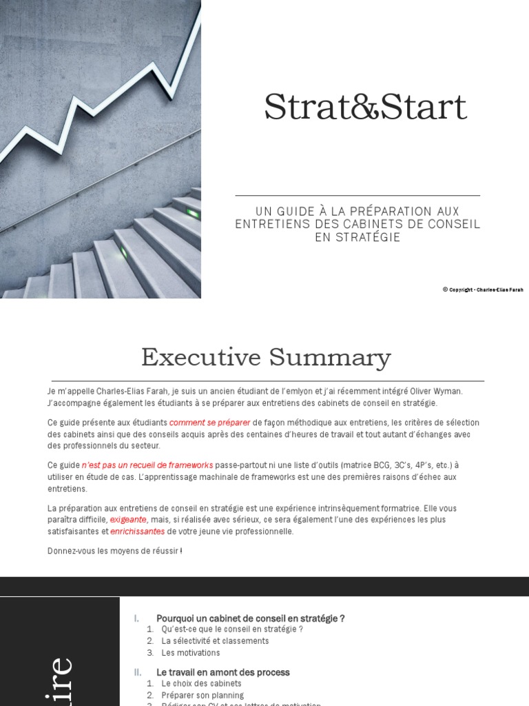 Strat&Start - Guide | PDF | Consultant | Business