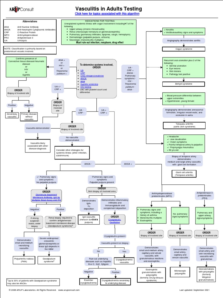 I Am Sharing 'Vasculitis - in - Adults - Testing - Algorithm' With You ...