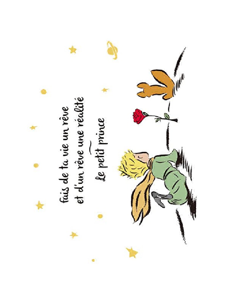 Le Petit Prince | PDF
