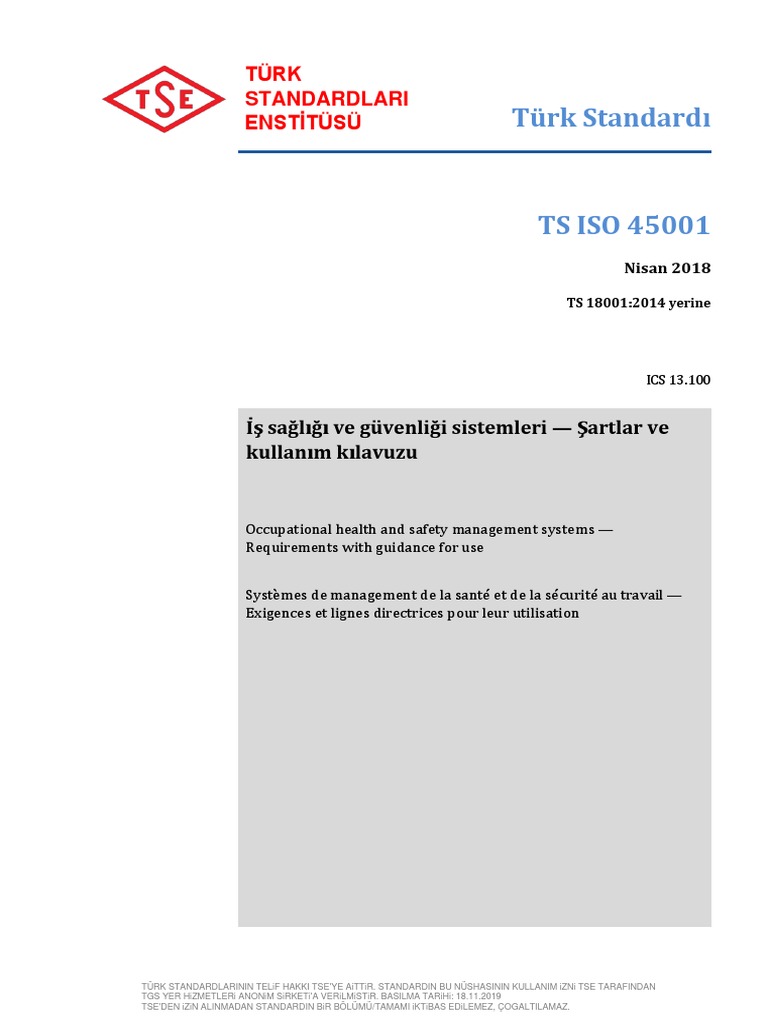 TS Iso 45001 | PDF