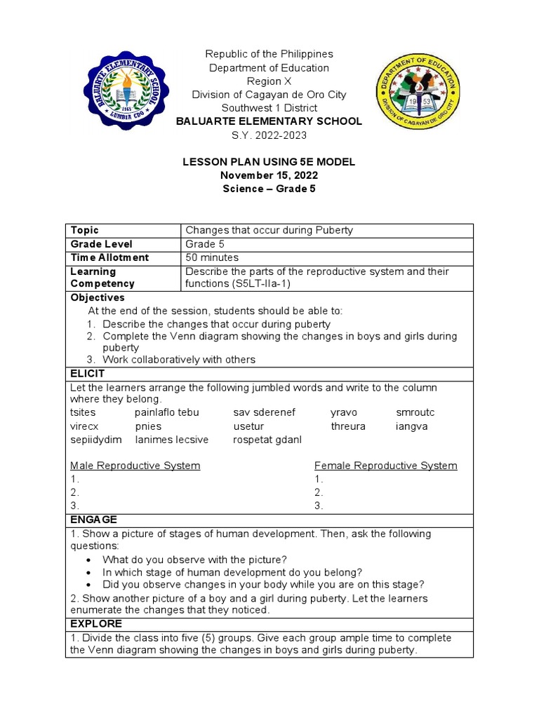 Grade 5 Puberty Lesson Plan | PDF | Menstruation | Puberty