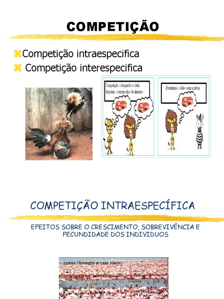 Competiçao Intra e Interespecifica - Aula 7 | PDF | Nicho ecológico ...