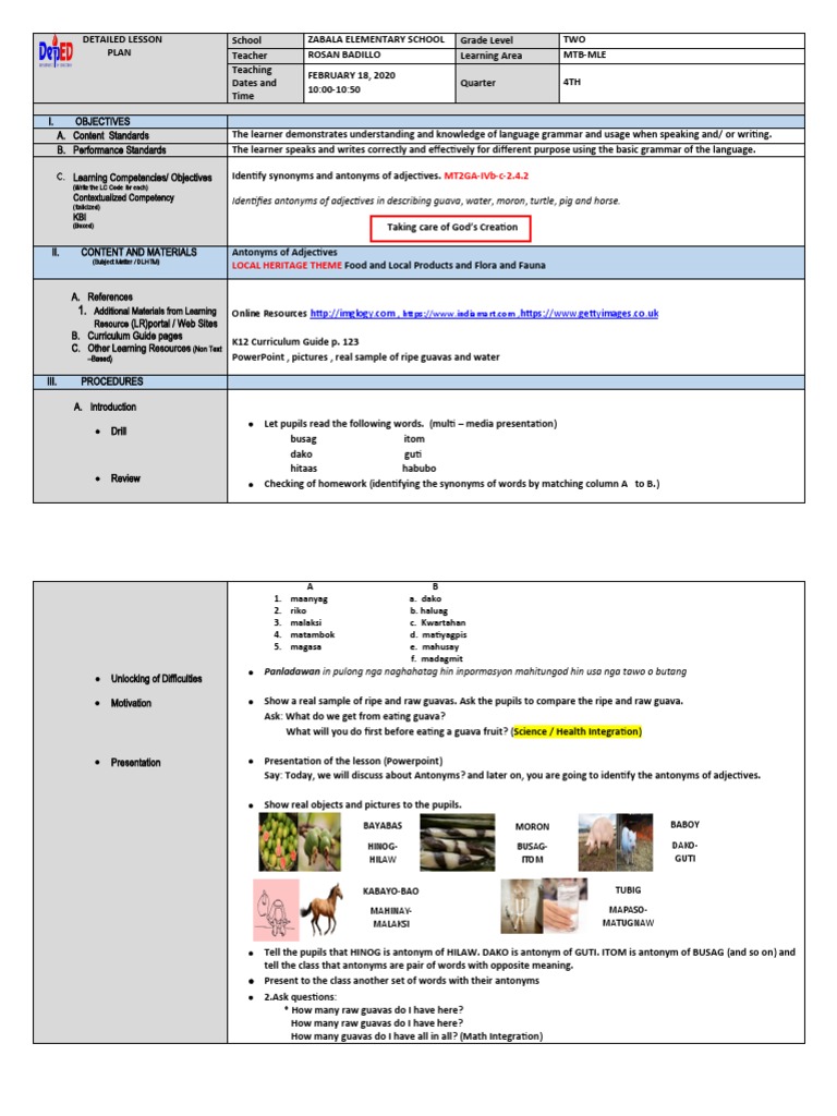 Detailed Lesson Plan For Cot | PDF | Curriculum | Teachers