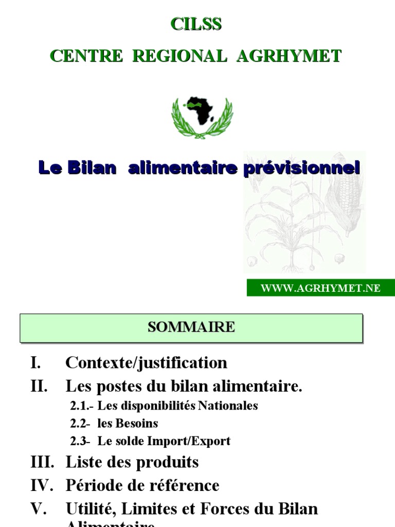 Présentation Bilan Alimentaire | PDF | Légumes | Boisson