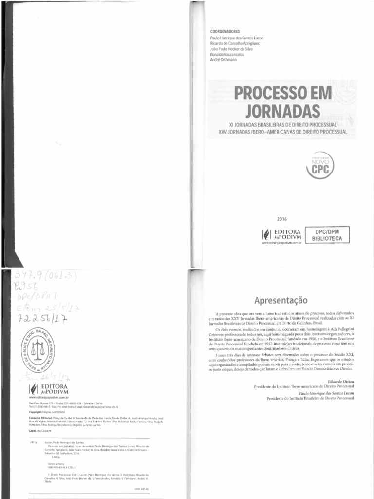 PAGANI - Revisitando A Teoria Geral Do Processo PDF | PDF