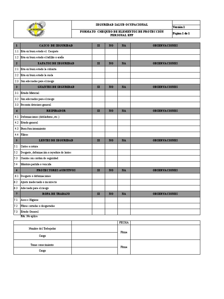 Inspeccion EPP | PDF