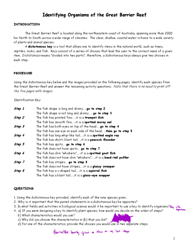 Great Barrier Reef+Dichotomous+Key | PDF