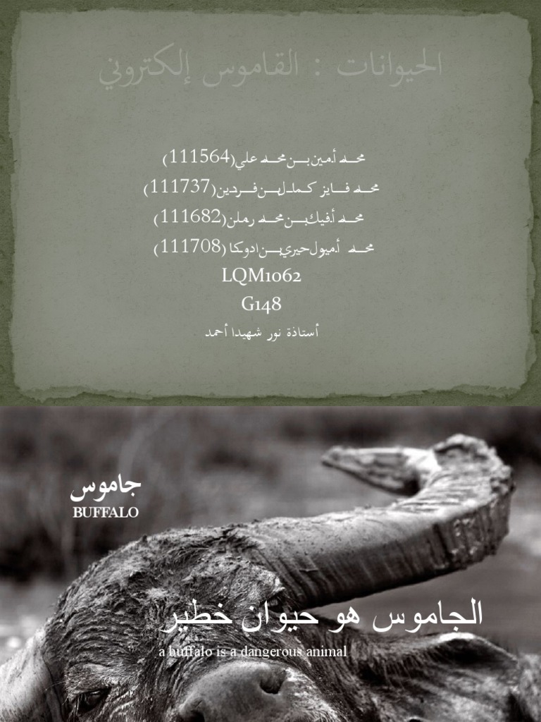 Arab Dictionary | PDF