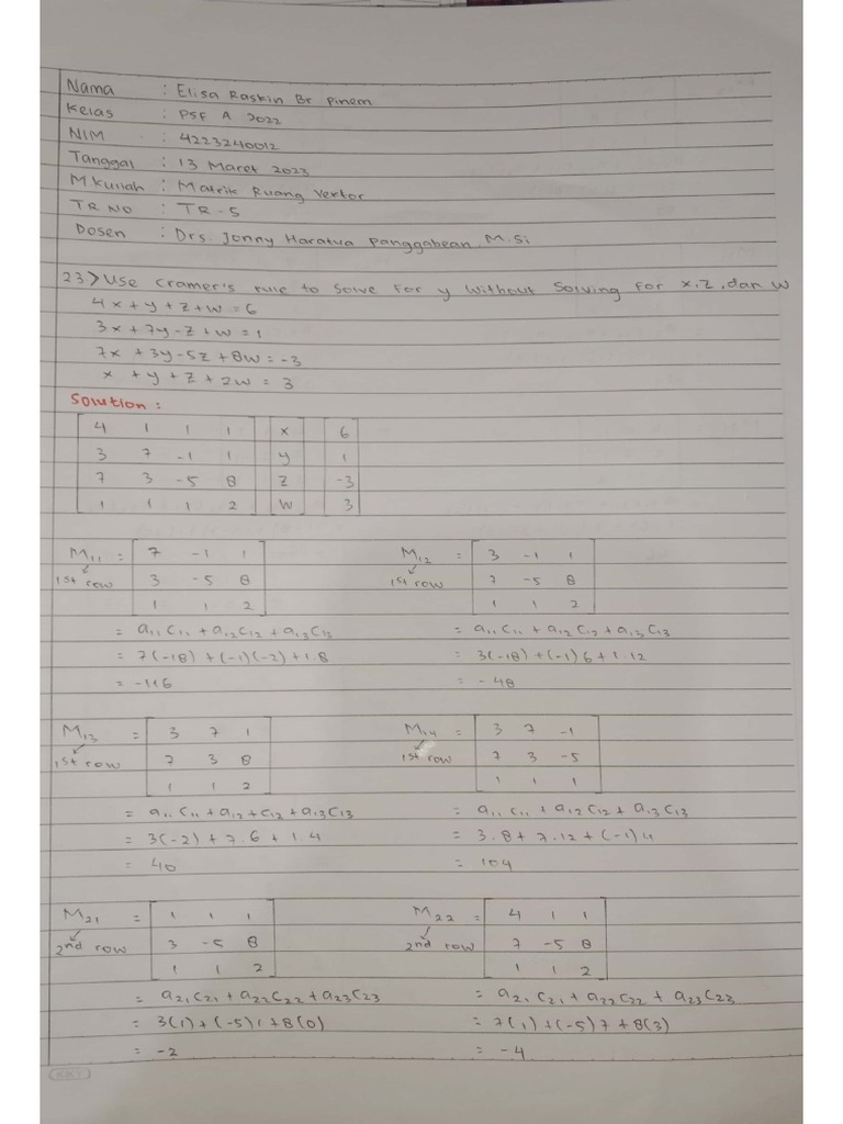 Elisa Raskin BR Pinem - TR.5 | PDF