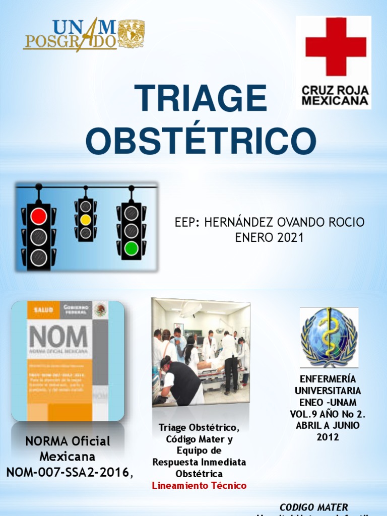 Triage Obstetrico | PDF | Muerte materna | Causas de la muerte