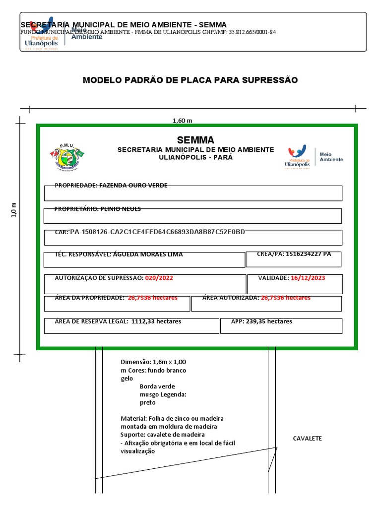 Modelo Placa | PDF
