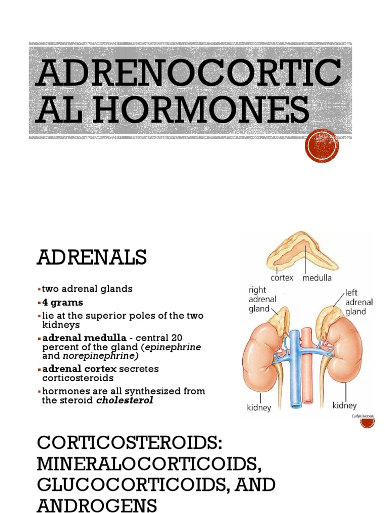 Adrenocortical Hormones | PDF | Adrenal Gland | Adrenocorticotropic Hormone