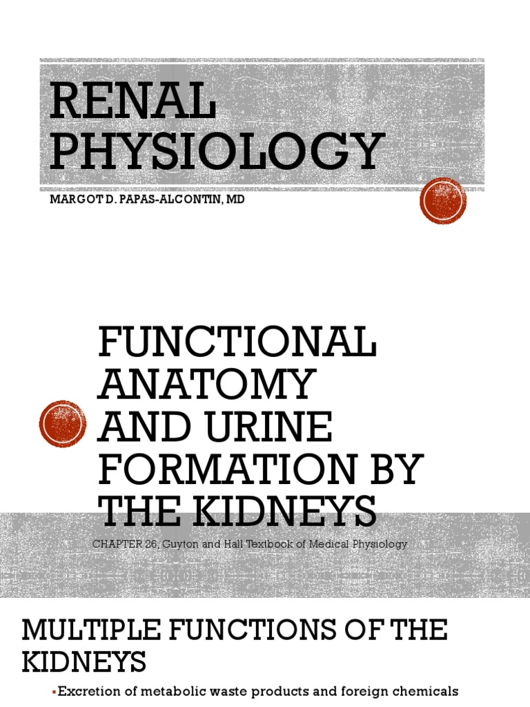 Chapter 26 Pdf Kidney Urinary Bladder