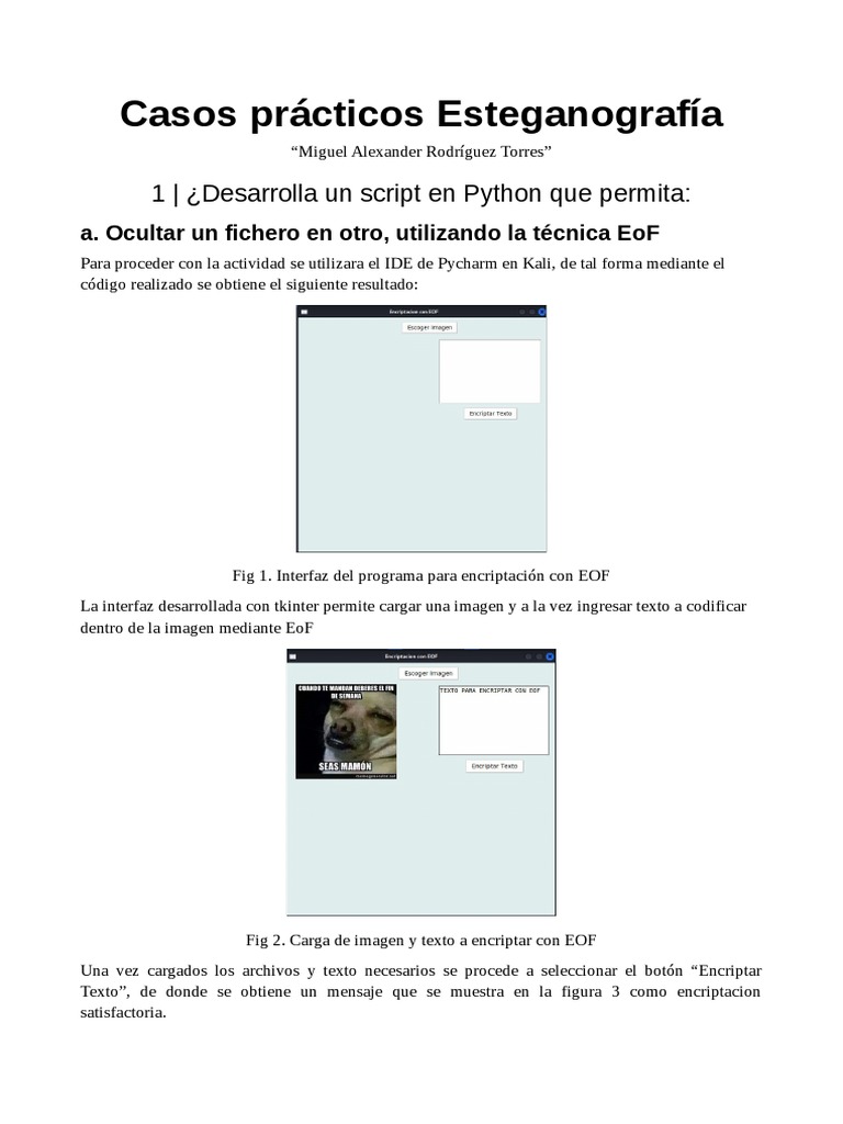 Esteganografía Con Python en Kali Linux - Caso Práctico | PDF
