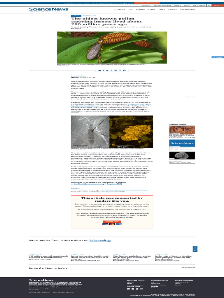 The Oldest Known Pollen-Carrying Insects Lived About 280 Million Years ...