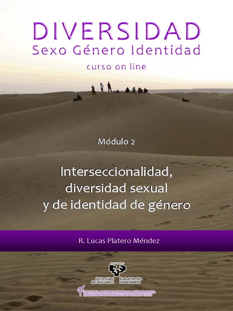 2.interseccionalidad, Diversidad Sexual y de Identidad de Género PDF | PDF | Interseccionalidad ...