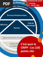 Normes CRIPP Audit Interne | PDF
